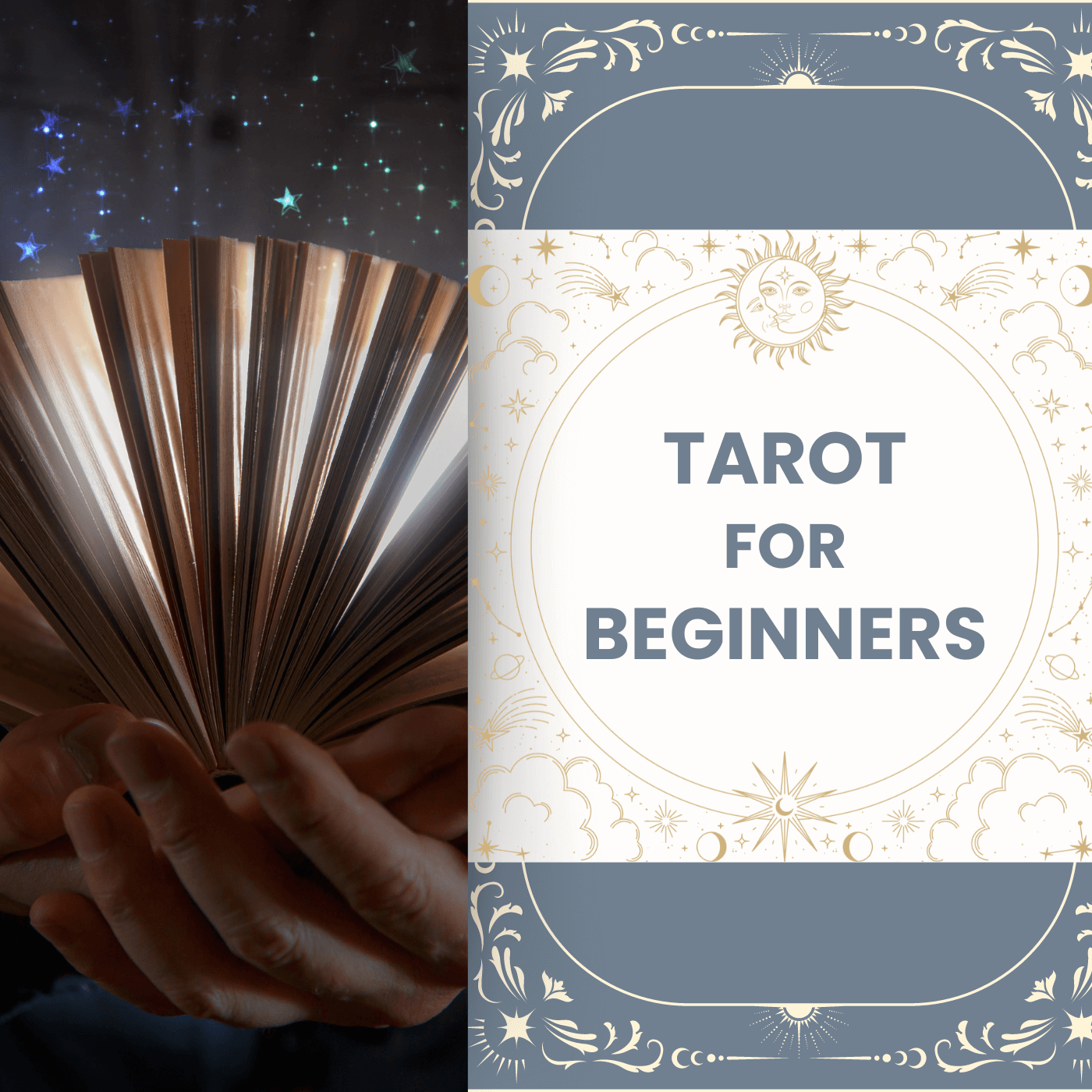 Best Tarot for Beginners | TEVADA Tarot