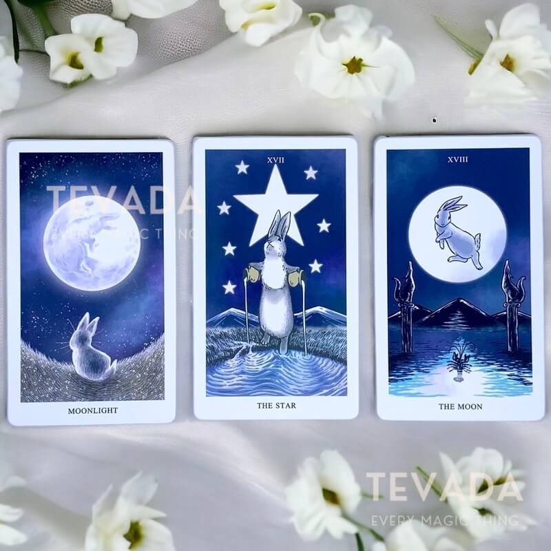 The Dreaming Waves Oracle | TEVADA Tarot